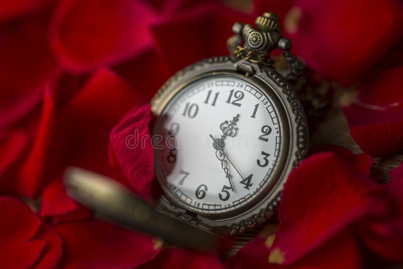 Vintage Pocket Watch Isolated on White Background Stock Image - Image ...