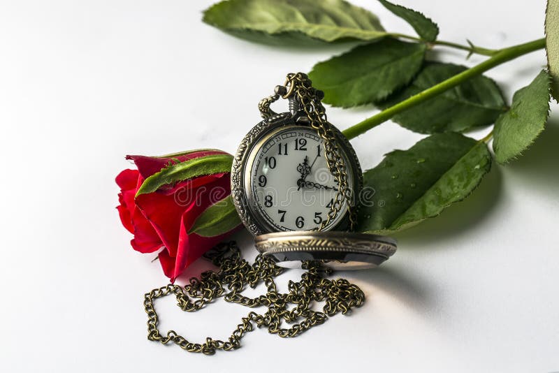 Vintage Pocket Watch Isolated on White Background Stock Image - Image ...