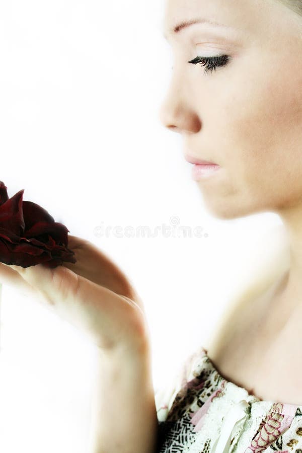 Red Rose Portrait Picture. Image: 1897367