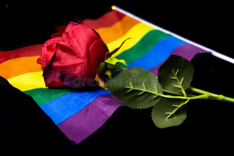 Red Rose on a Rainbow Flag, Symbolizing Love and Acceptance Stock Image ...