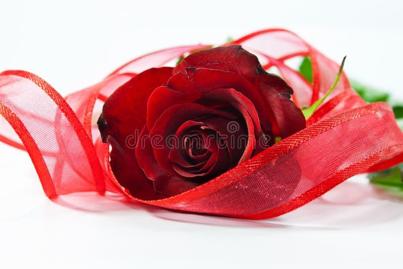 Red Ribbons Picture. Image: 17984290