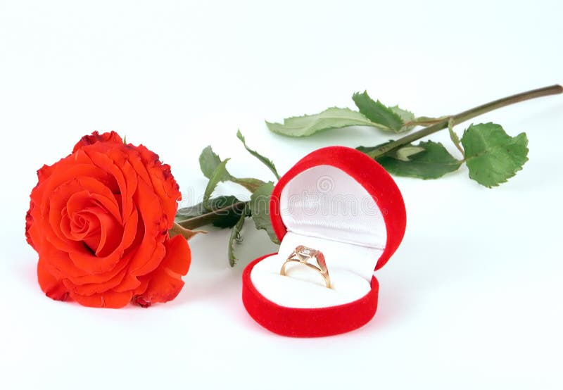 Red rose and ring stock photo. Image of floral, brilliant - 534080