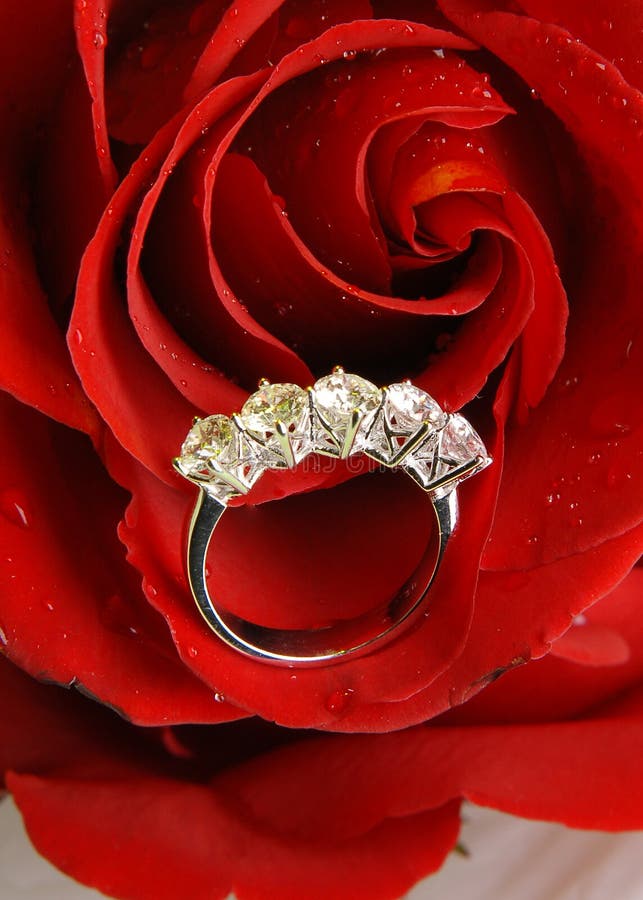 Red rose and ring stock photo. Image of luxury, close - 8434276