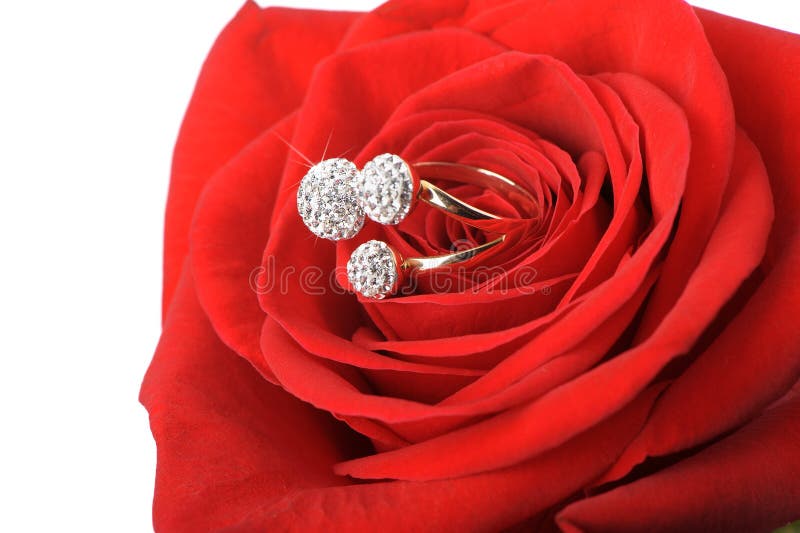 Red Rose with a Ring with Jewels Stock Photo - Image of marry, bloom ...