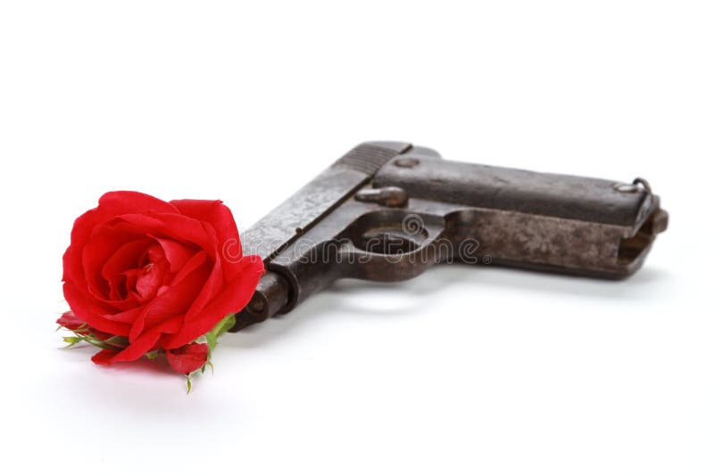 170 Gun Red Rose Stock Photos - Free & Royalty-Free Stock Photos from ...