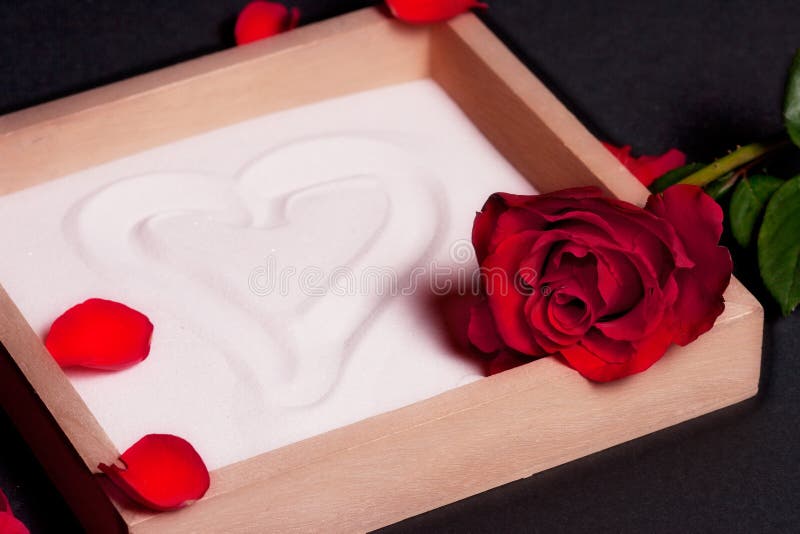 Red rose and sand box stock image. Image of petals, rose - 17970909