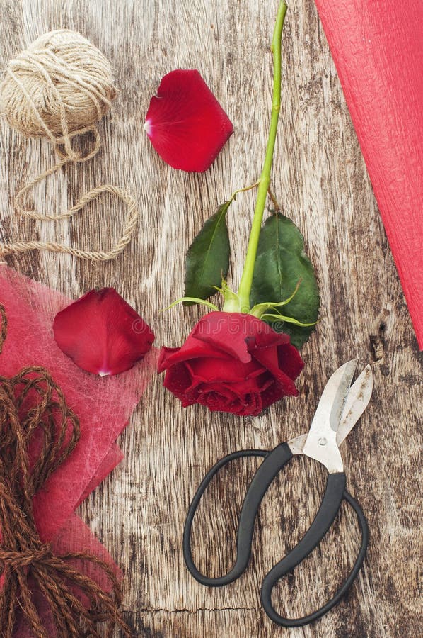 Red rose and scissors stock photo. Image of rose, decorative - 38402510