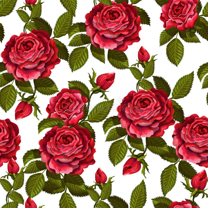 Seamless Roses Stock Illustrations – 41,703 Seamless Roses Stock ...