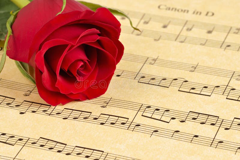 Red Rose on Sheet Music stock photo. Image of love, sheet - 6212058