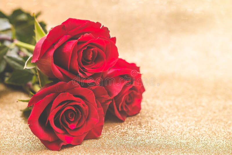 Rose on a Shiny Gold Background Stock Photo - Image of pink, romantic ...