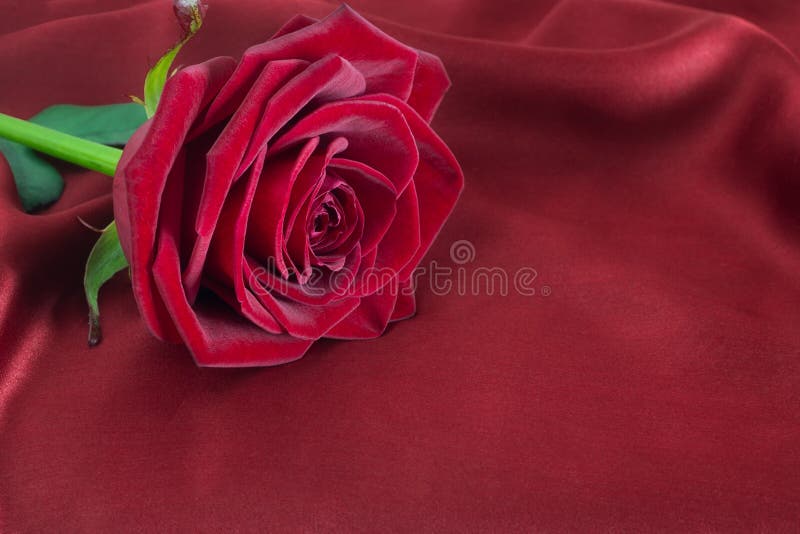 Envelope and Red Rose Over Silk Background Stock Image - Image of love ...