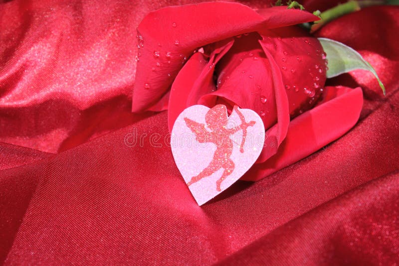 Red Rose stock image. Image of valentine, flower, fresh - 33704831