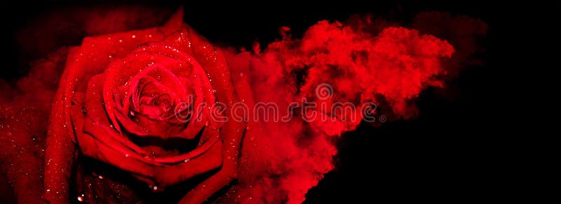 Red Rose with Smoke and Hearts Splash on a Black Background Stock Image ...