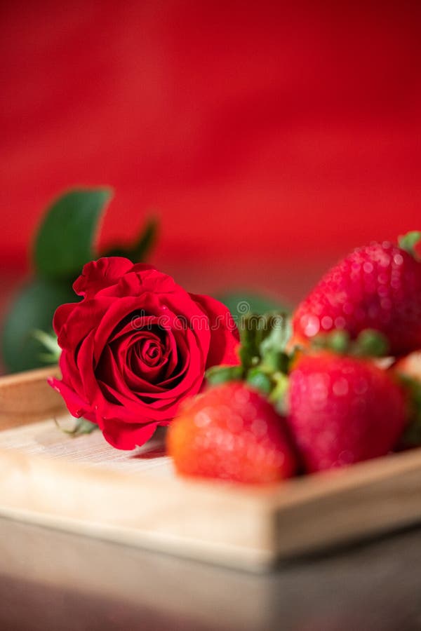 Red rose and strawberries stock photo. Image of health - 252524466