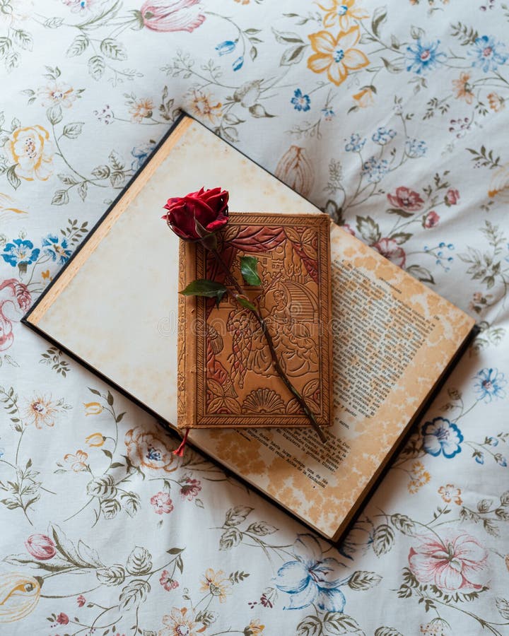 Red Rose on Top of an Old Book Stock Image - Image of life, open: 182737041