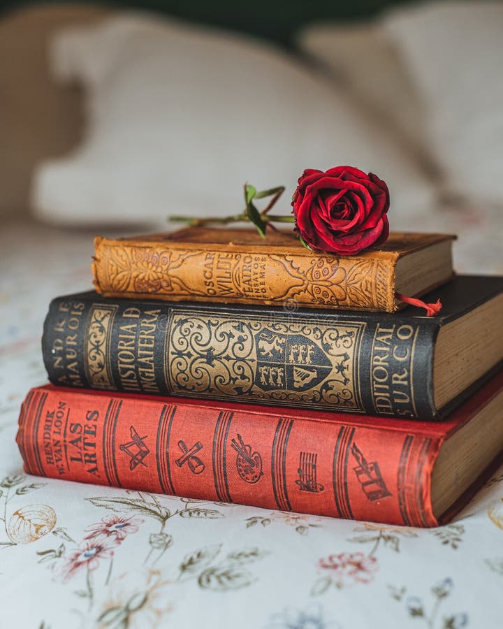 Red Rose on Top of a Pile of Books Stock Photo - Image of life ...