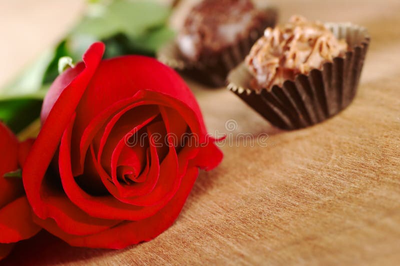 Red Rose with Truffles stock photo. Image of passion - 17690364