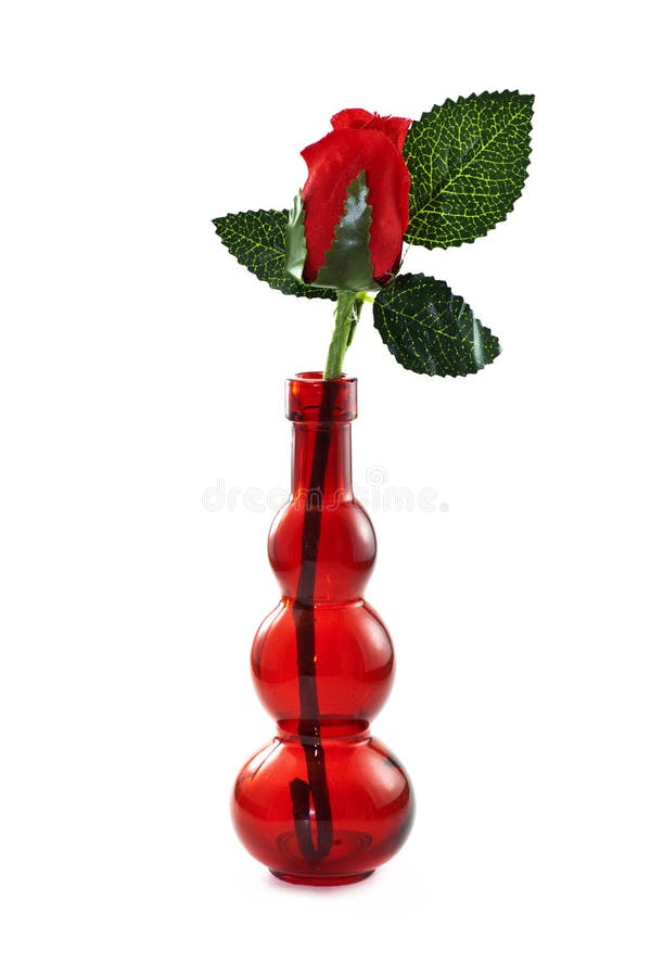 Red rose in vase stock photo. Image of roses, affection - 17981566