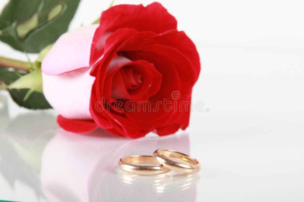 Red rose and wedding ring stock image. Image of leaf - 13635581