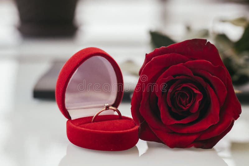 Red Rose and Wedding Ring in a Red Box Close Up Stock Photo - Image of ...