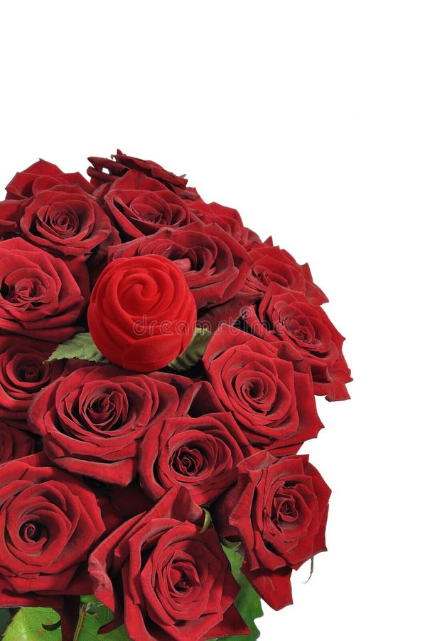 Red rose & white cap stock photo. Image of engagement - 19895054