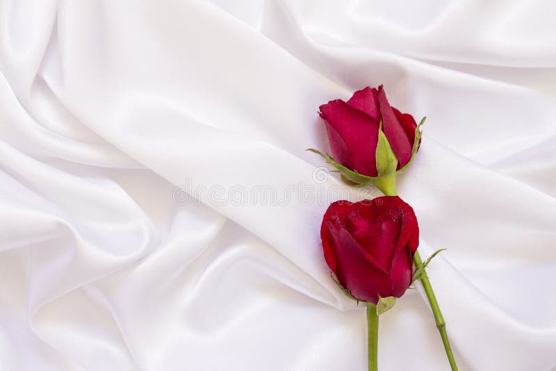 Red rose on white cloth stock photo. Image of background - 182914112