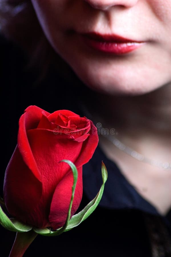 Red Rose And Woman Picture. Image: 8353544
