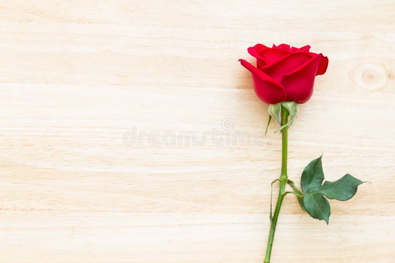 Red rose on wood table stock photo. Image of nature, event - 86347694