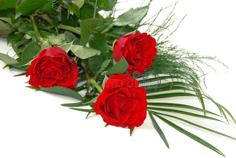 Red roses stock photo. Image of natural, lovely, bouquet - 11615636