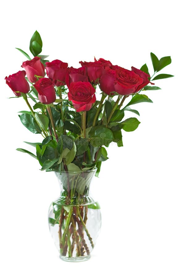 233 Dozen Roses Vase Stock Photos - Free & Royalty-Free Stock Photos ...