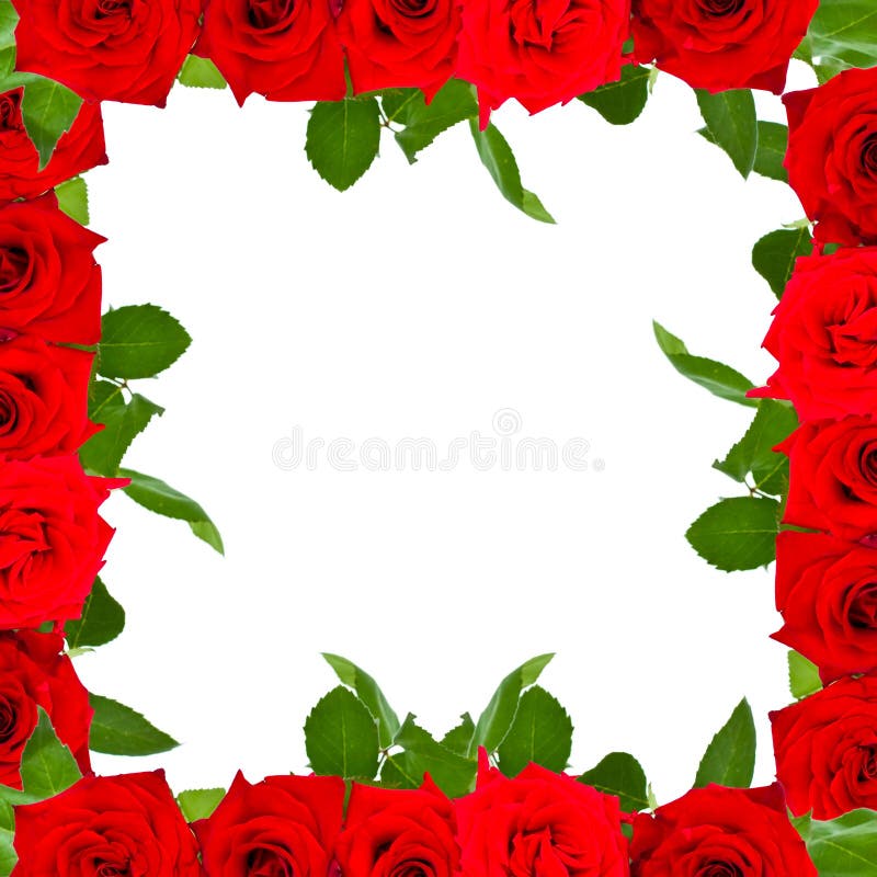 Frame of red roses stock photo. Image of license, symbolbild - 8052202