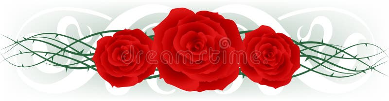 Horizontal Roses stock vector. Illustration of drawing - 2081155