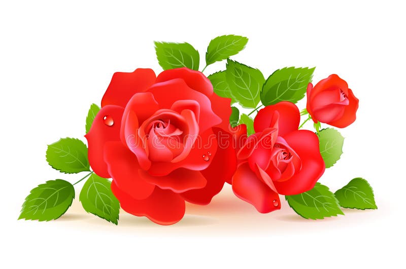 Horizontal Seamless Background with Red Roses. Stock Vector ...