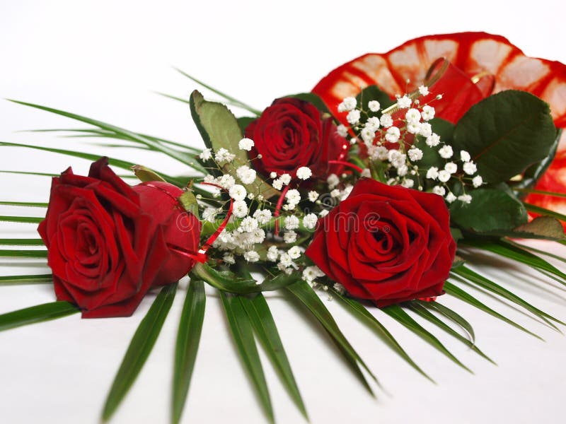 Red roses stock photo. Image of rose, leaves, ruffle - 22532758