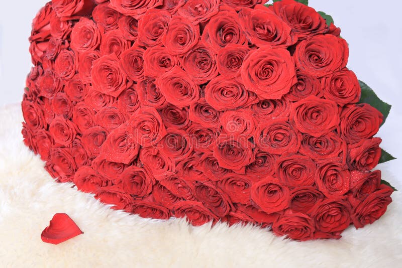 Red roses stock image. Image of love, blossom, beauty - 38265205