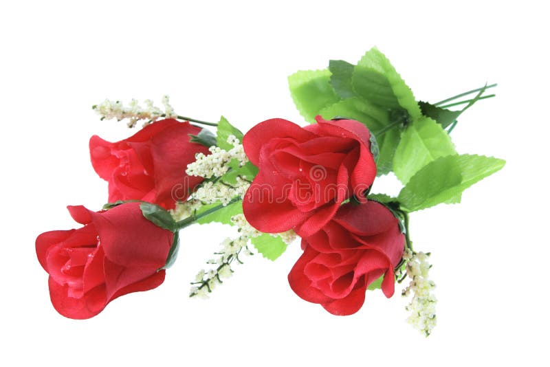 Red hot chilli stock photo. Image of cook, isolation, chillie - 3290018