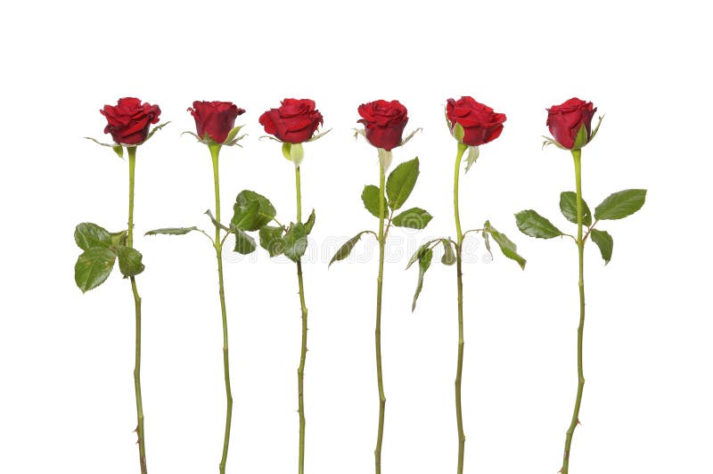 Frontier Homestead stock image. Image of america, ancient - 32508045