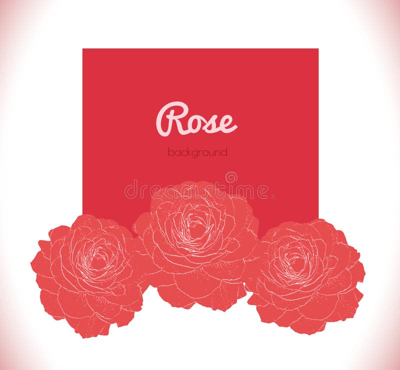 Red roses stock vector. Illustration of curve, ornate - 53396115