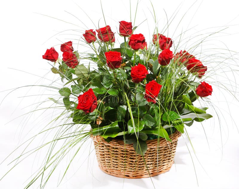 Red Roses in Basket stock photo. Image of arrangement - 16001466