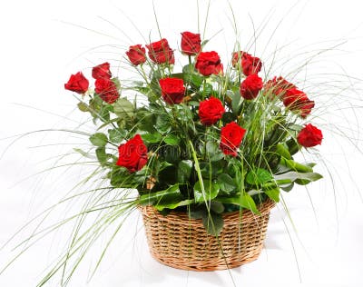 Red Roses in Basket stock photo. Image of arrangement - 16001466