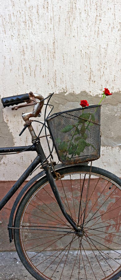 Red Roses in Basket of Old Rusty Bicycle 3 Stock Image - Image of bloom ...