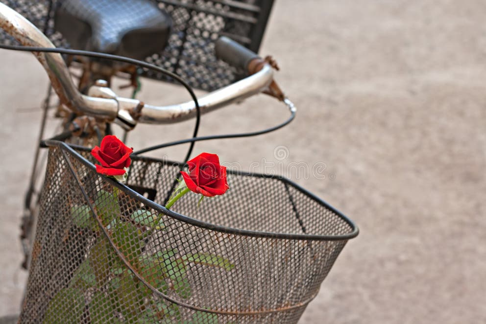 Red Roses in Basket of Old Rusty Bicycle 5 Stock Photo - Image of cycle ...