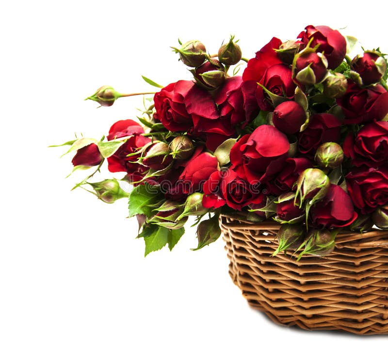 Red roses in basket stock photo. Image of color, beautiful - 48166988