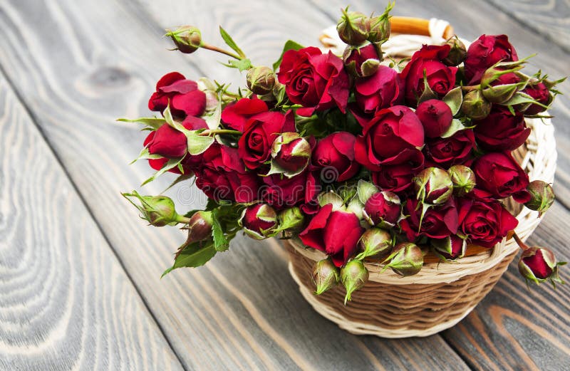 Red roses in basket stock image. Image of natural, gift - 49259631