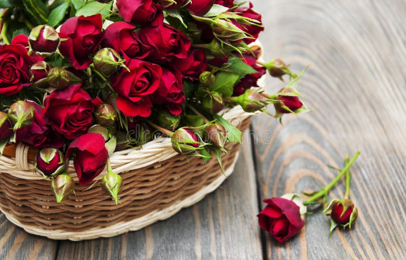 Red roses in basket stock photo. Image of plant, fresh - 49291620