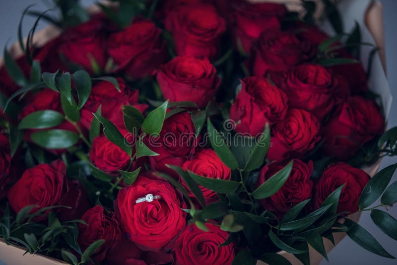 Beautiful Red Roses with Diamond Ring. Stock Photo - Image of ...