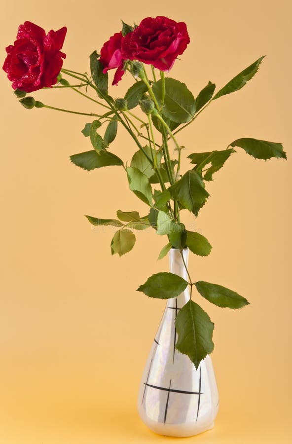 Red Roses on a Beige Background Stock Image - Image of background, aged ...