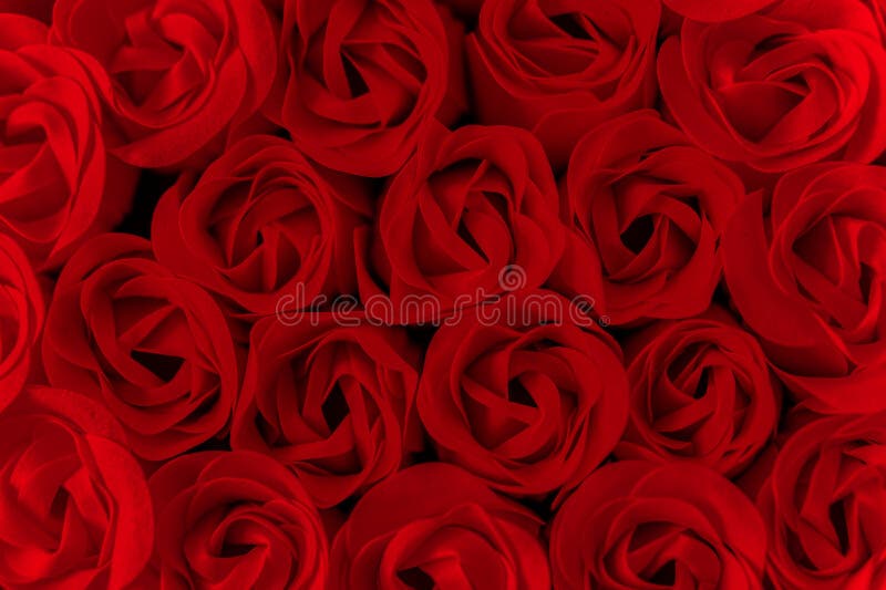 Red roses background stock image. Image of lover, background - 38698259