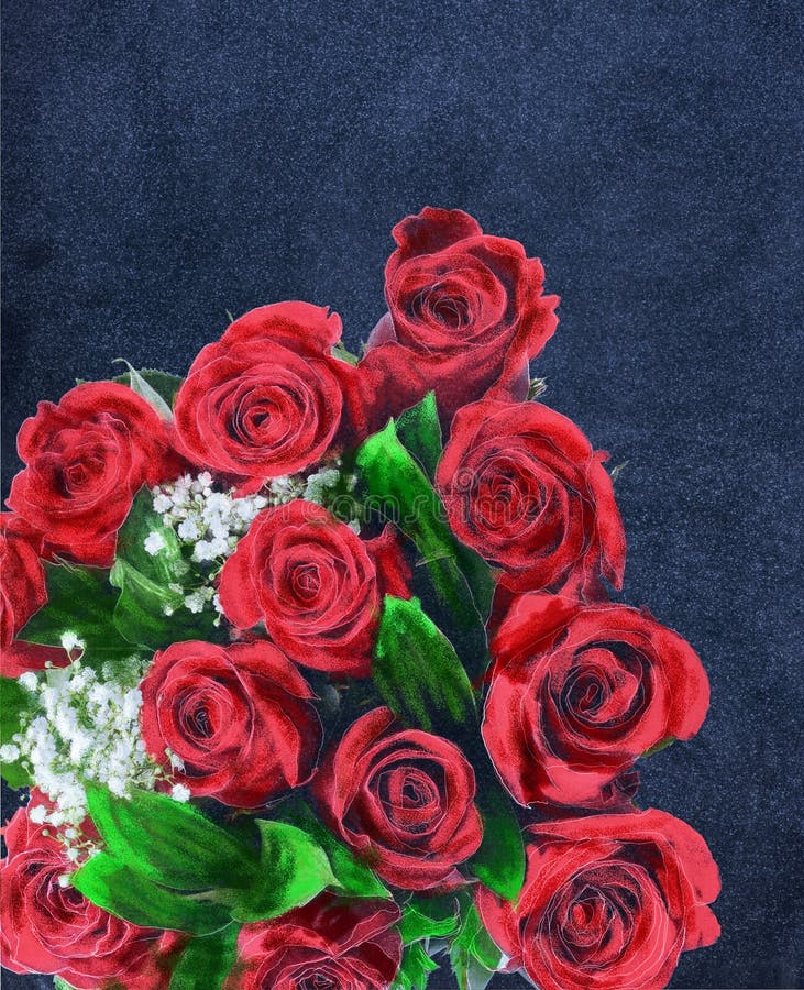 Red Roses. stock illustration. Illustration of plant - 61572118