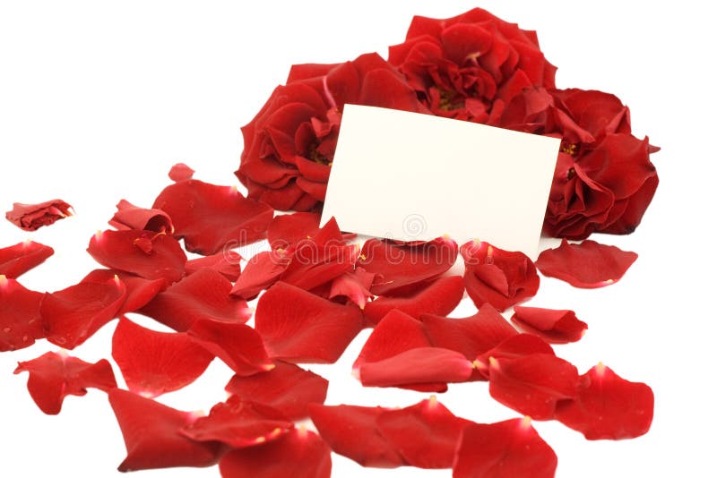 Red Roses with a Blank Note Stock Photo - Image of compliment, lovely ...